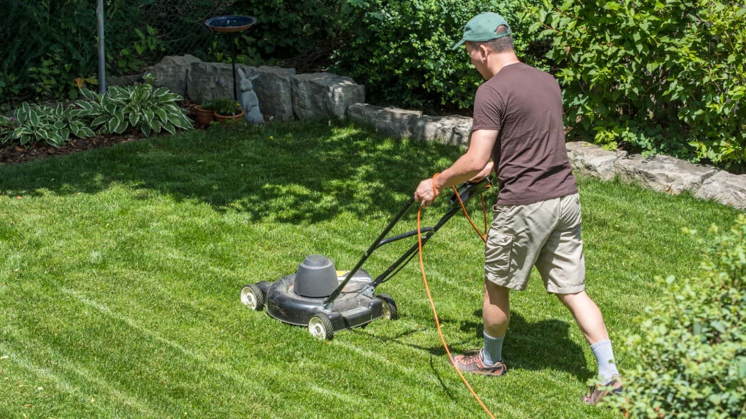 Grilling Like a Champ: Top Tips for An Epic Backyard BBQ - homedude
